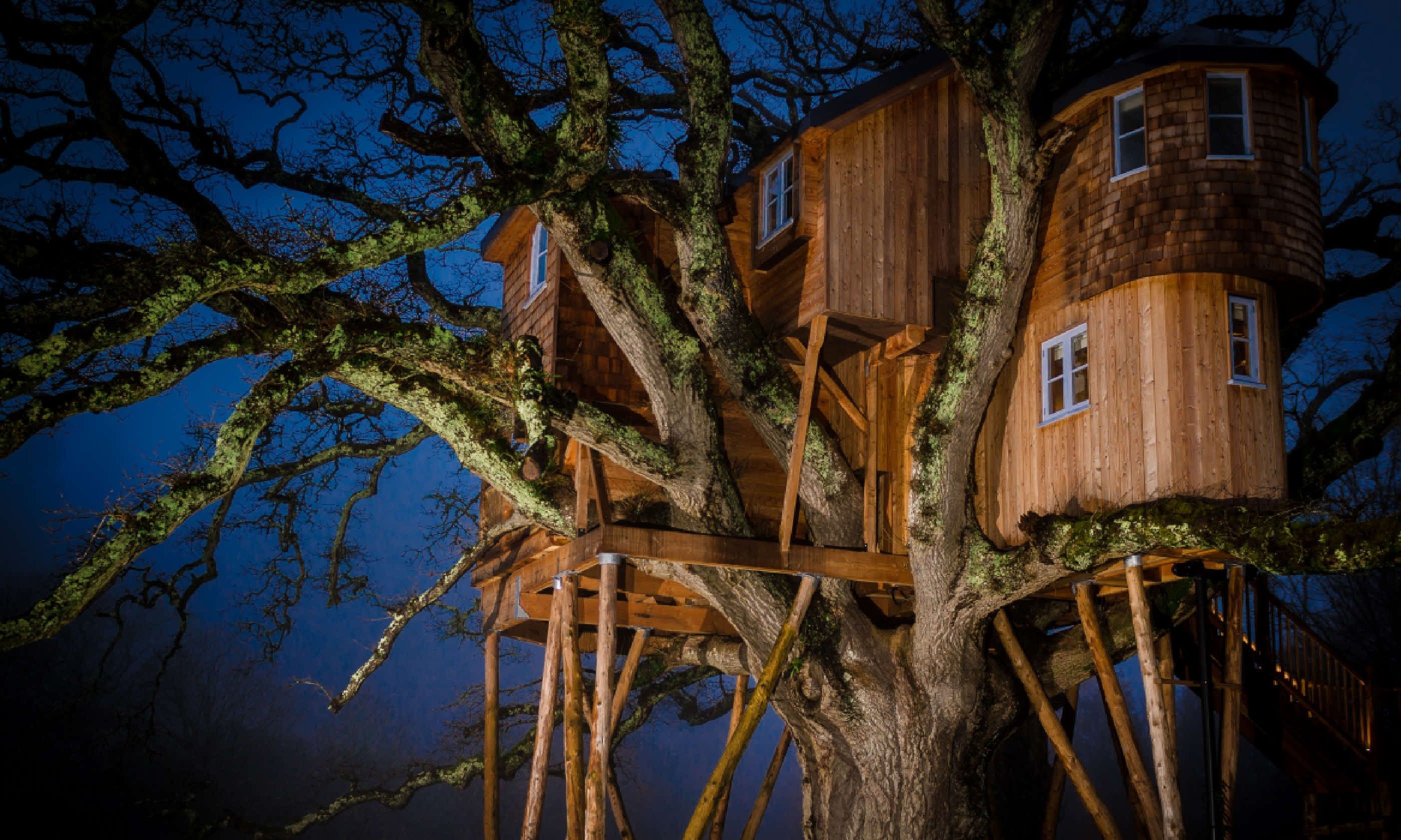 13 of the Best UK Treehouses To Stay In | Wanderlust