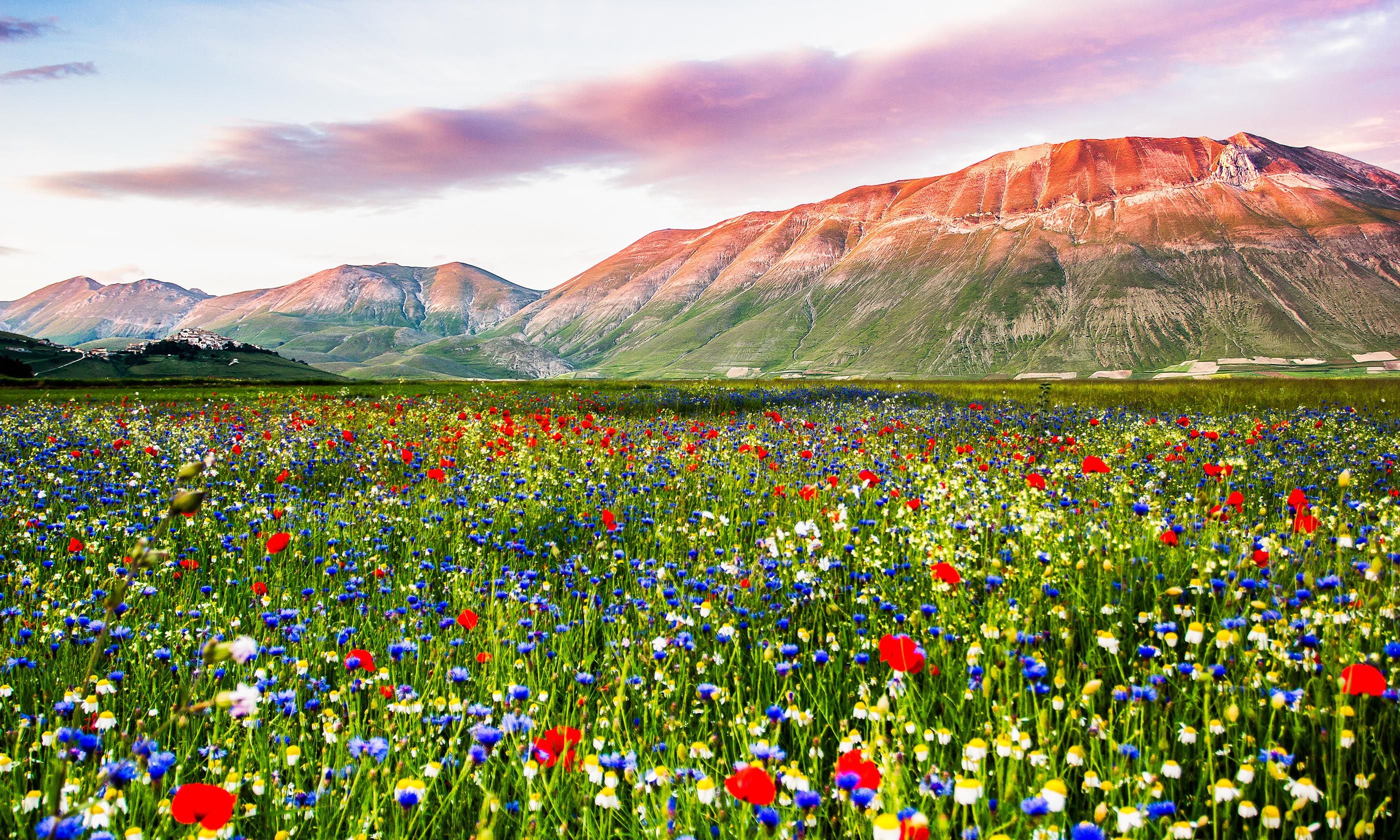 12 of the World's Most Colourful Spring Scenes | Wanderlust