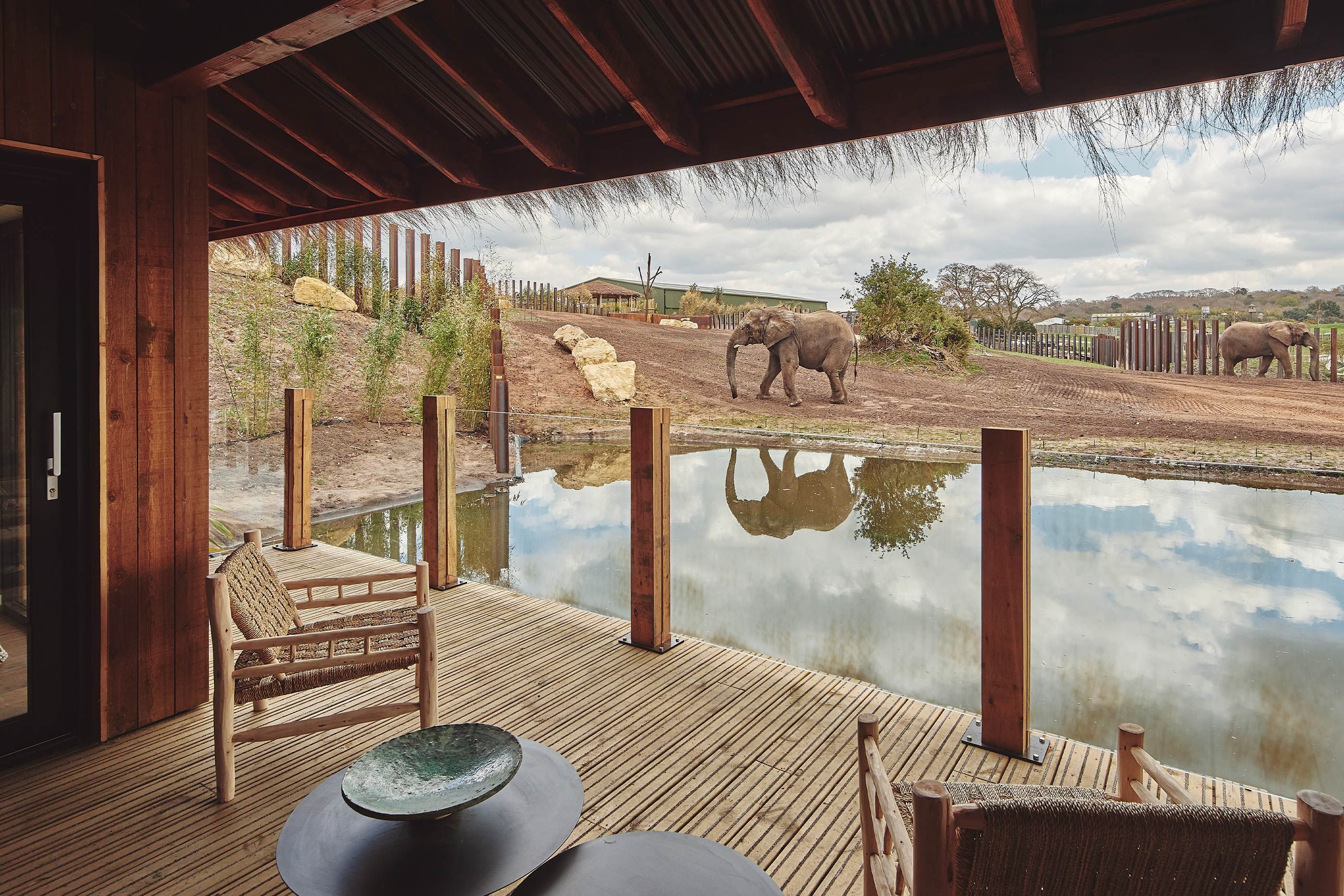 5 of the UK’s best safari lodges | Wanderlust