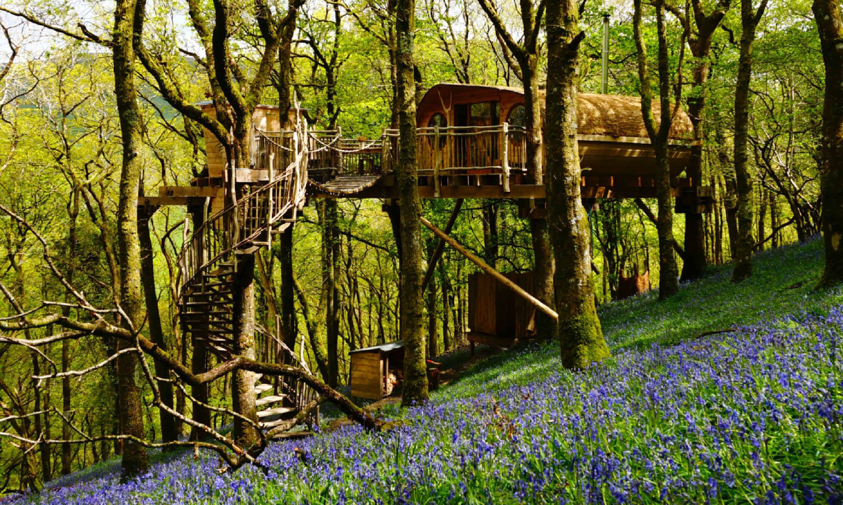 13 of the Best UK Treehouses To Stay In | Wanderlust