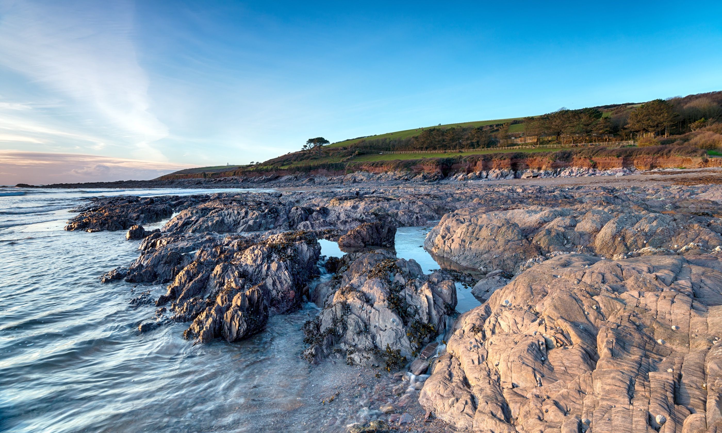 The life aquatic: The UK’s best rock pools and the creatures you’ll ...