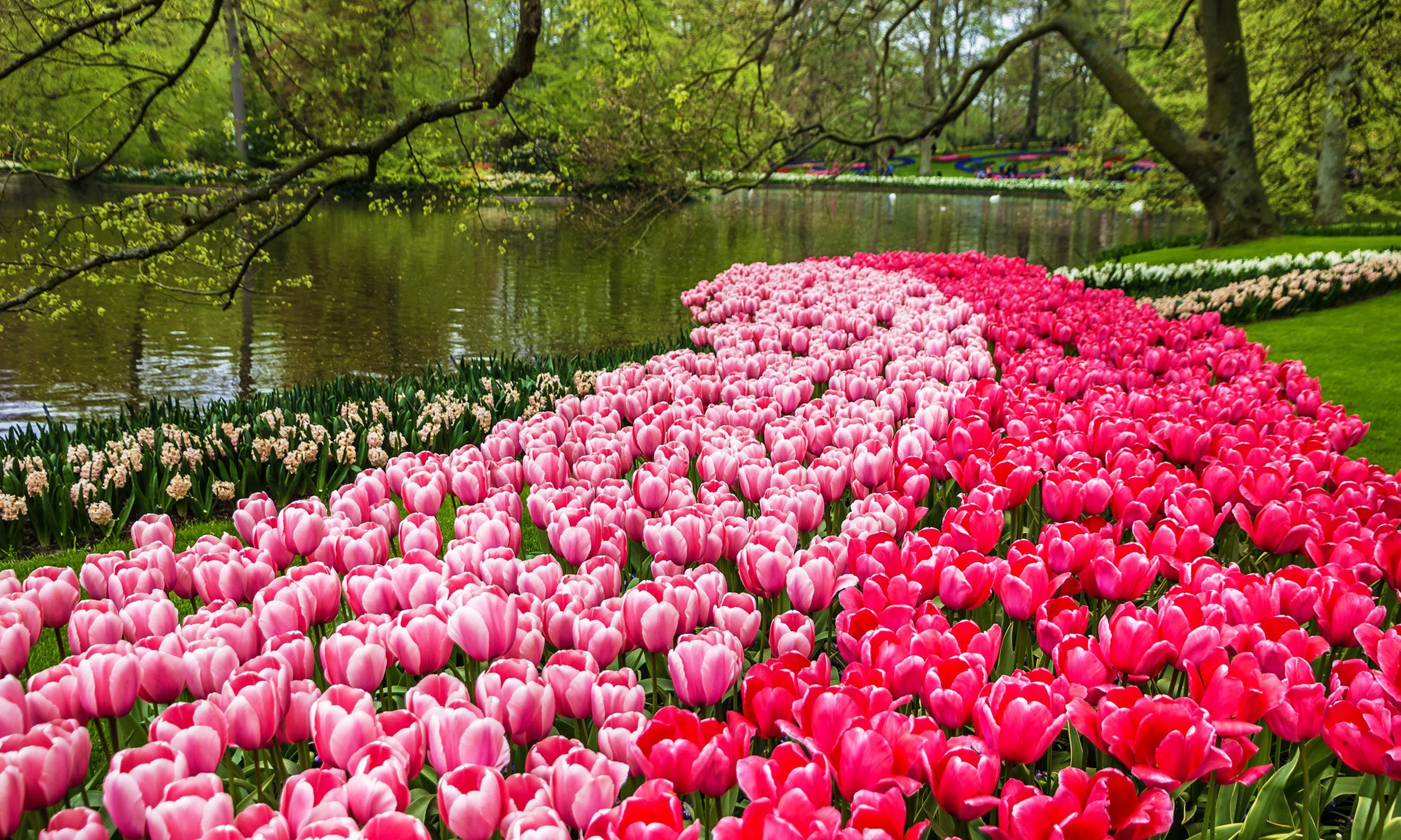 12 of the World's Most Colourful Spring Scenes | Wanderlust