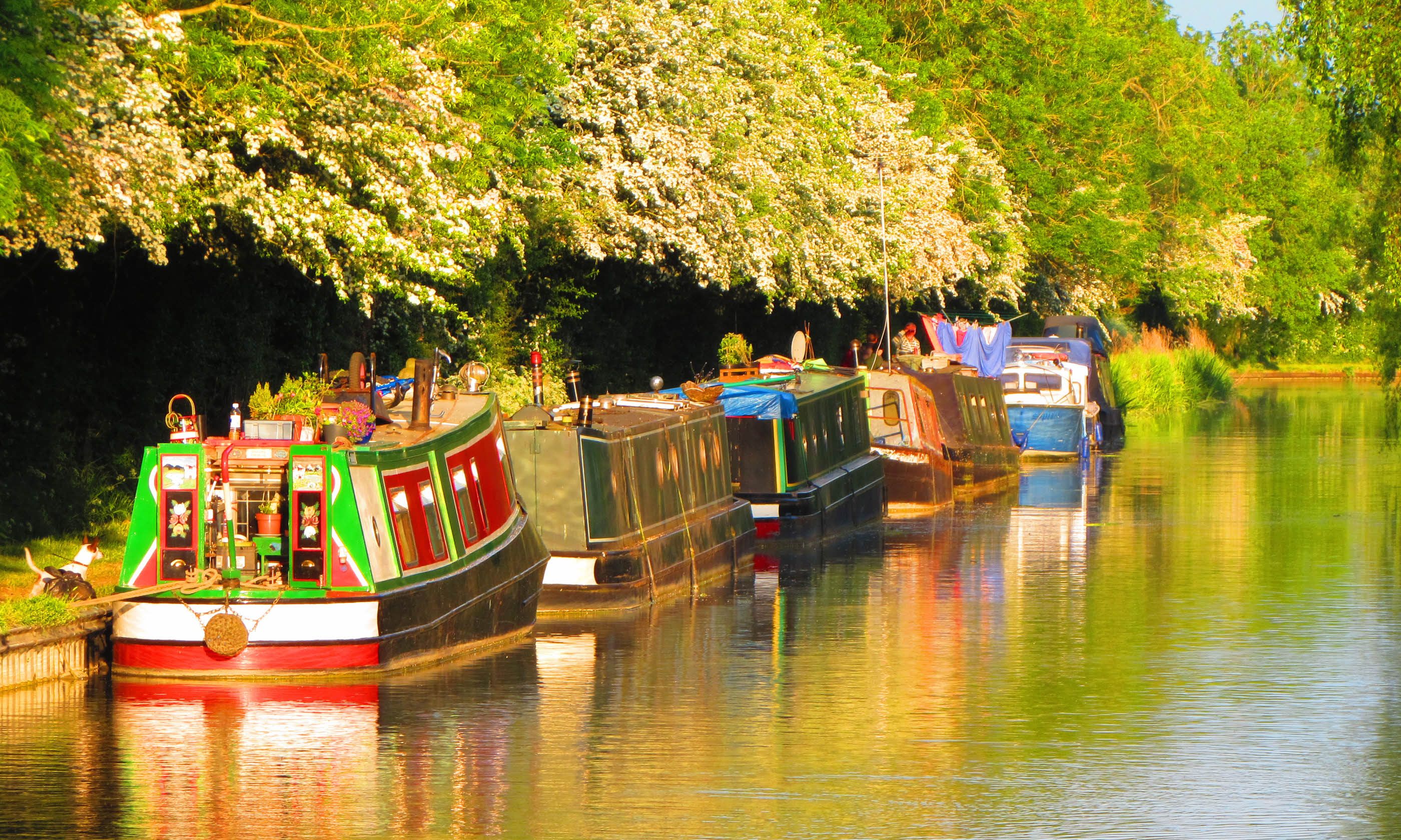 Go with the flow: 7 great British canals to discover this summer ...