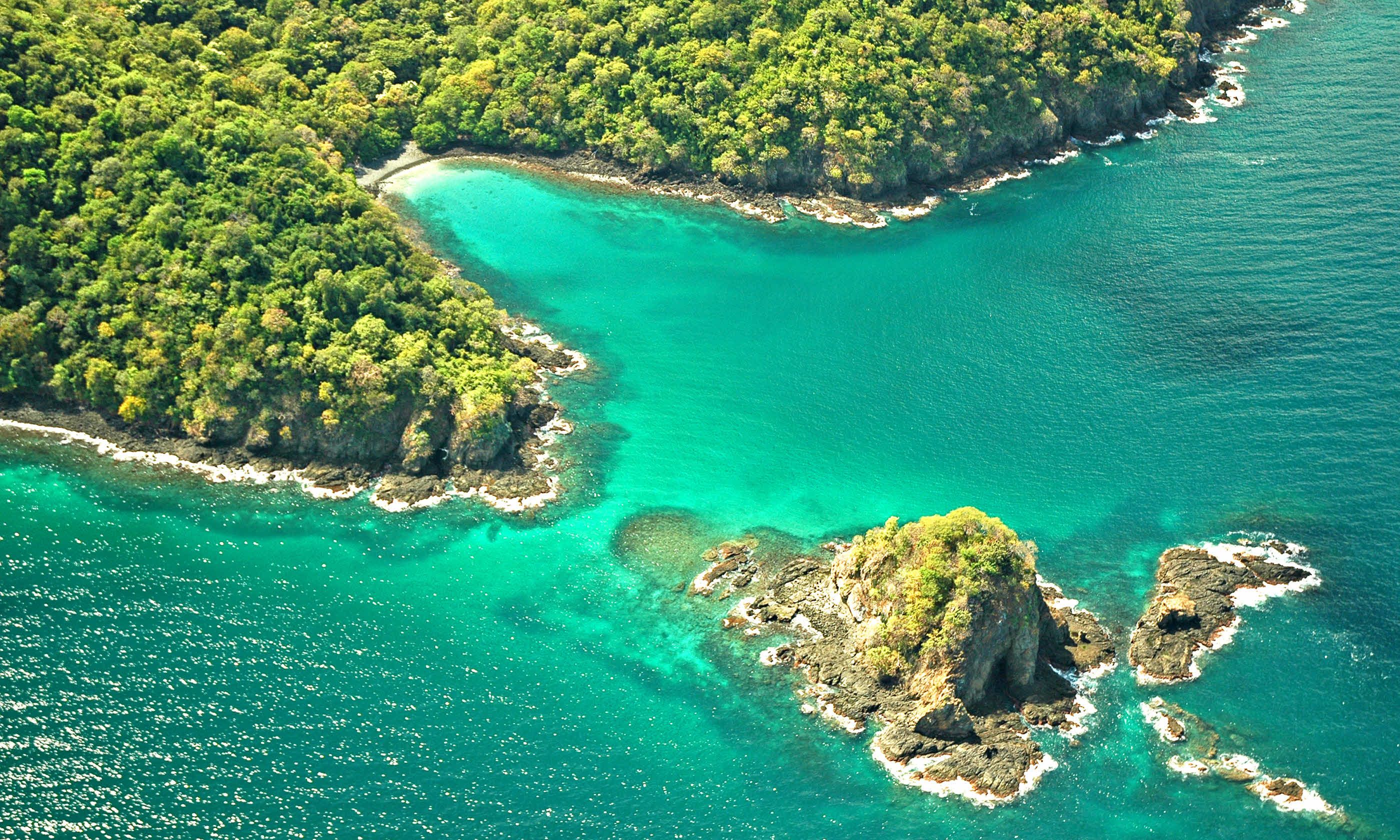 Can A Can De Chira Live In Costa Rica