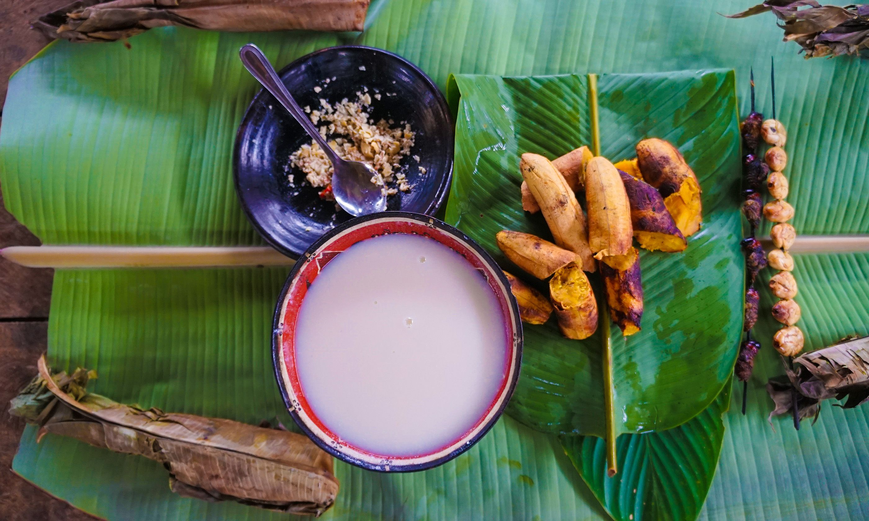 Amazon Rainforest Tribes Food