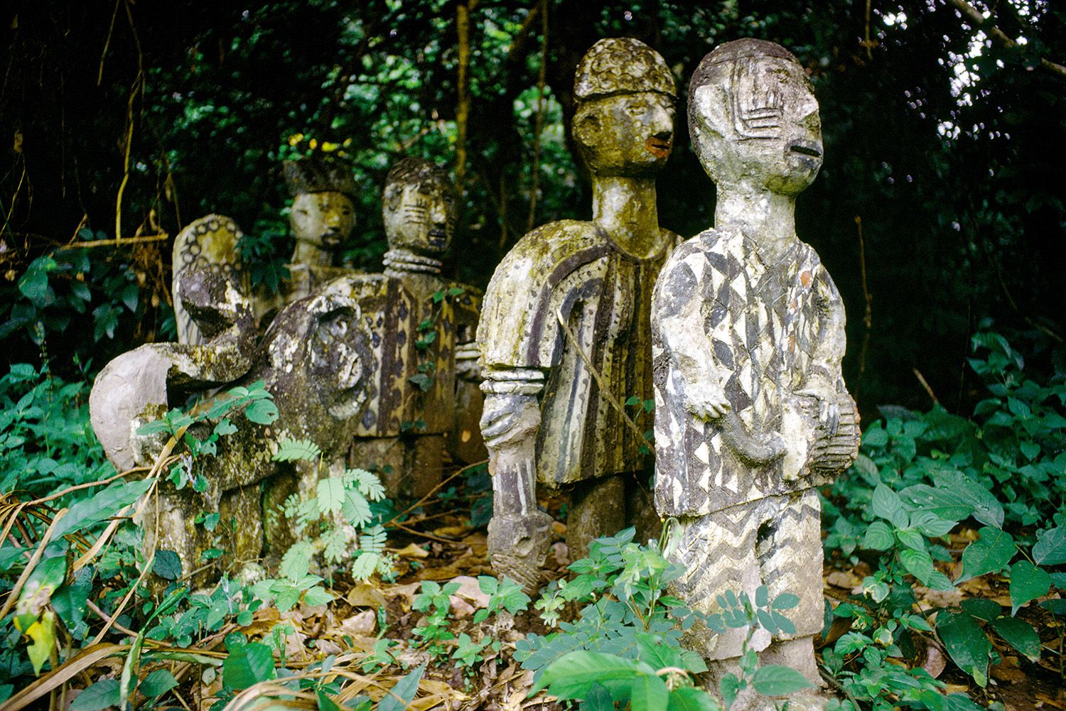 World Heritage: Osun-Osogbo Sacred Grove | Wanderlust