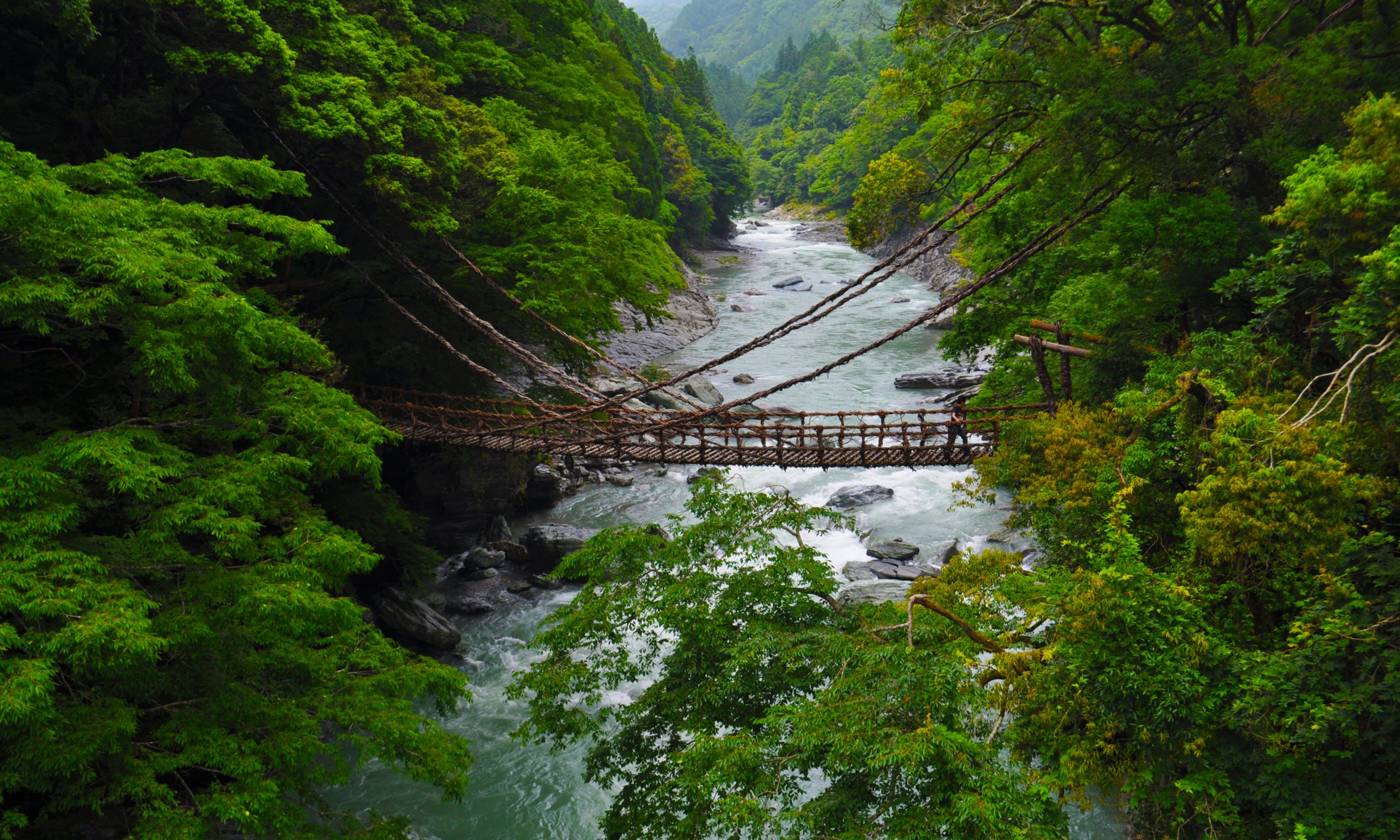 6 reasons you need to visit Shikoku island, Japan | Wanderlust