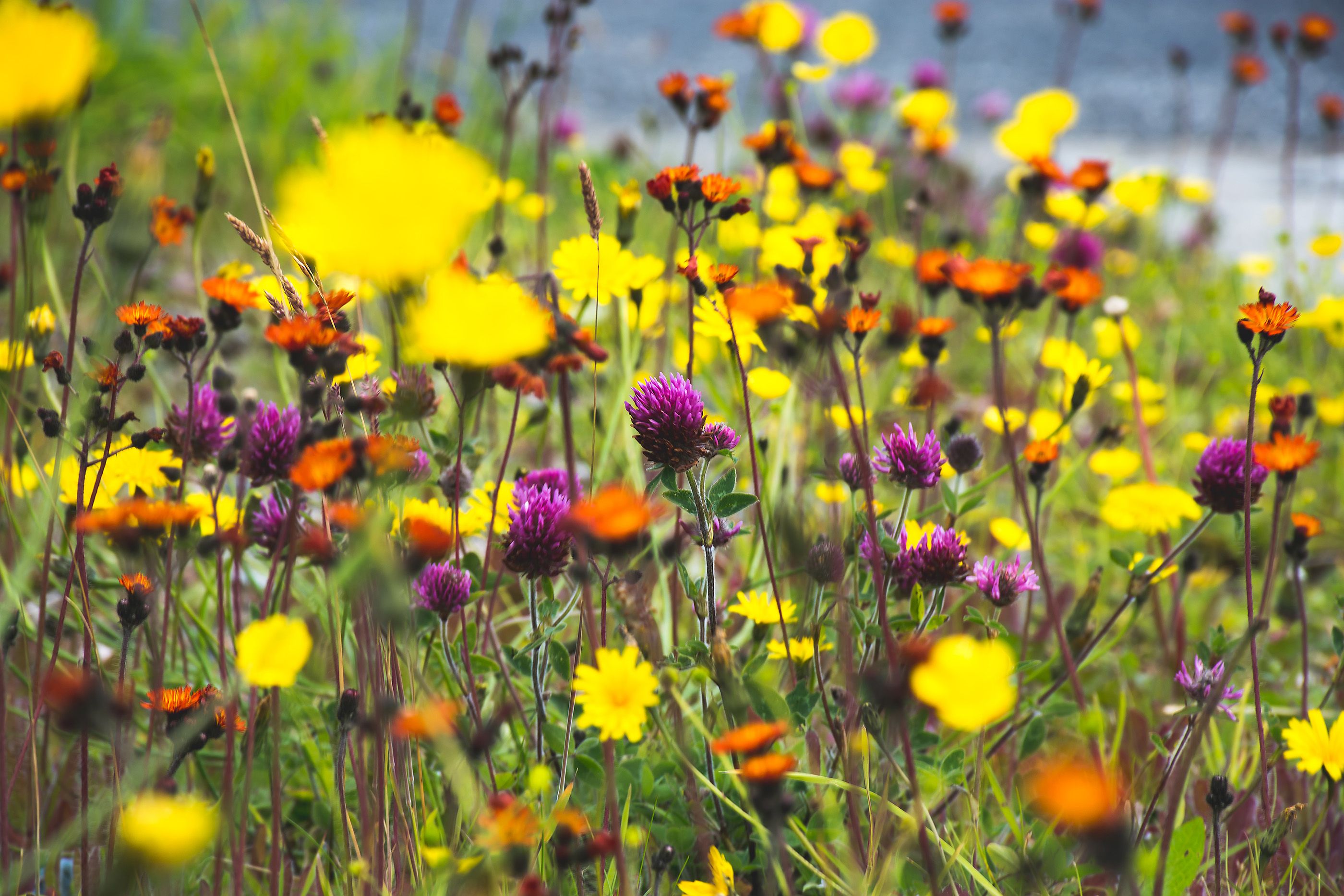 Scottish Highlands Travel Guide: The Best Things to See and Do | Wanderlust