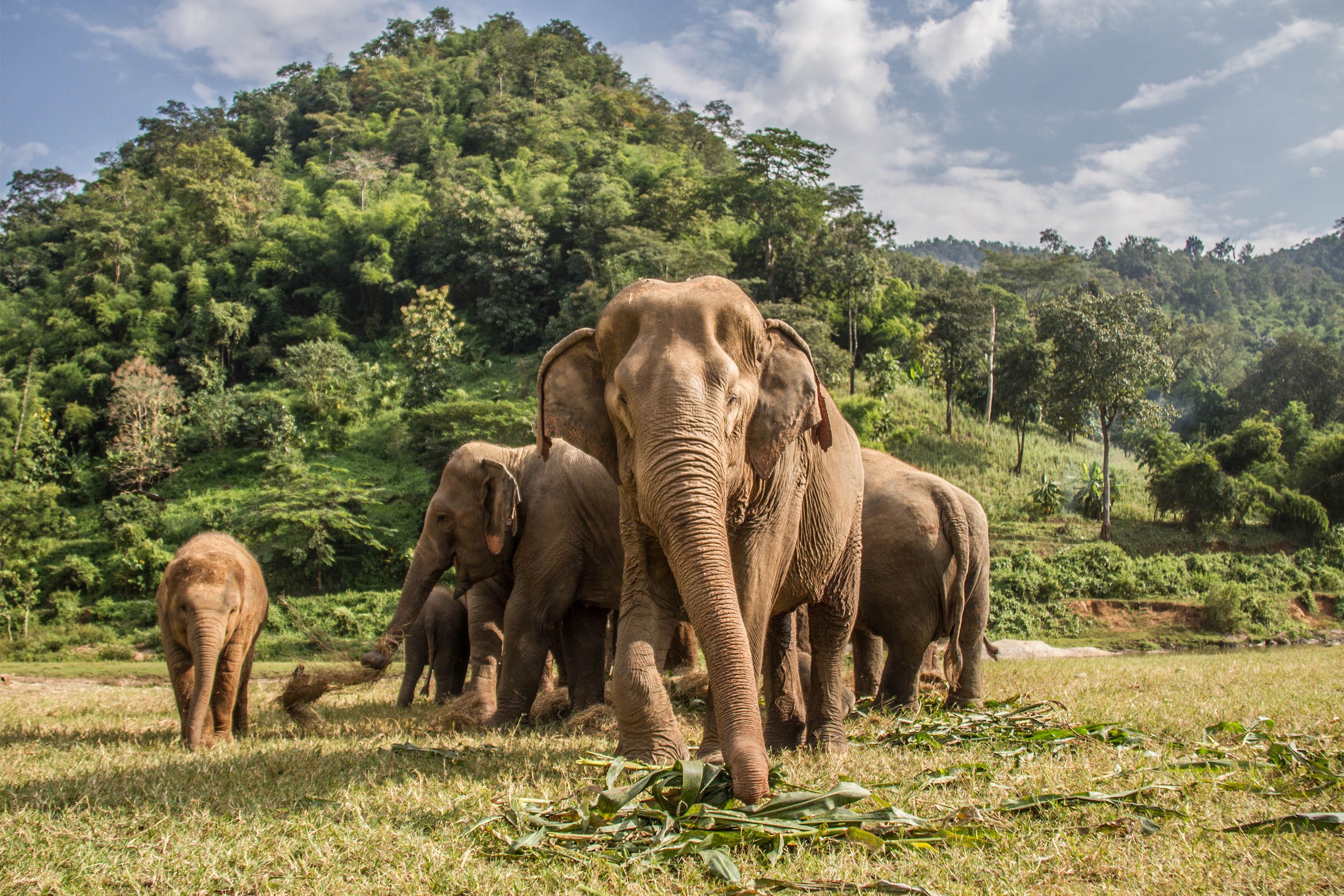 Top 12 Things To Do in Thailand | Wanderlust