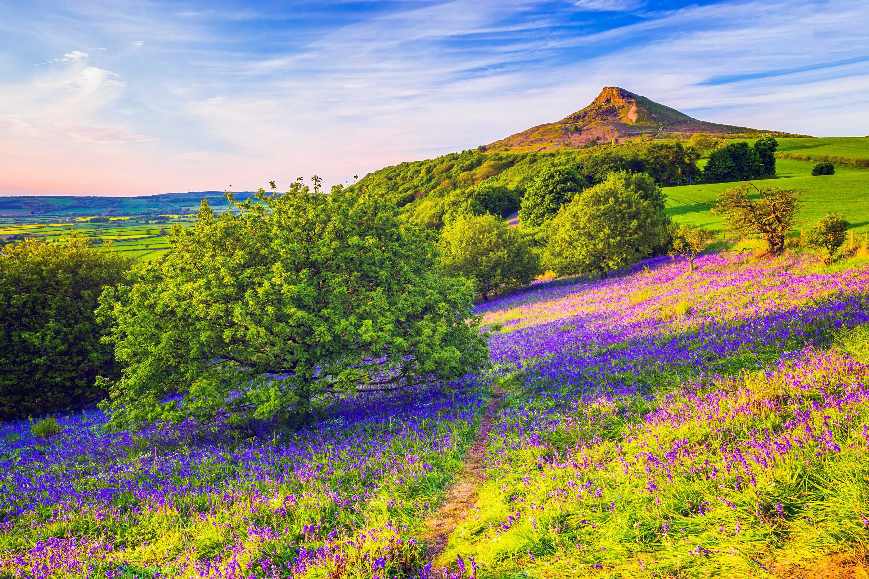7 of the Best Spring Walks in the UK | Wanderlust