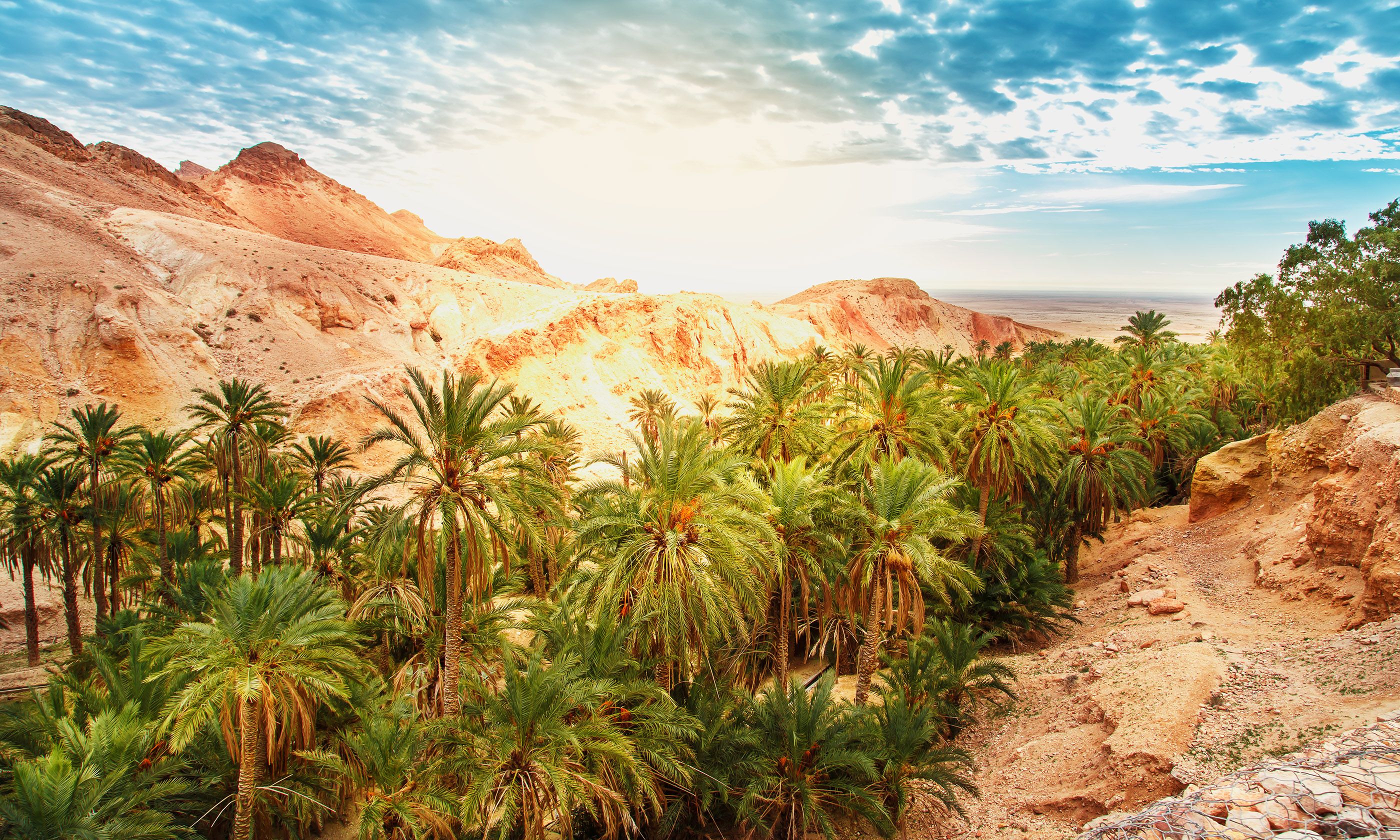 9 of the Most Beautiful Oases in The World | Wanderlust