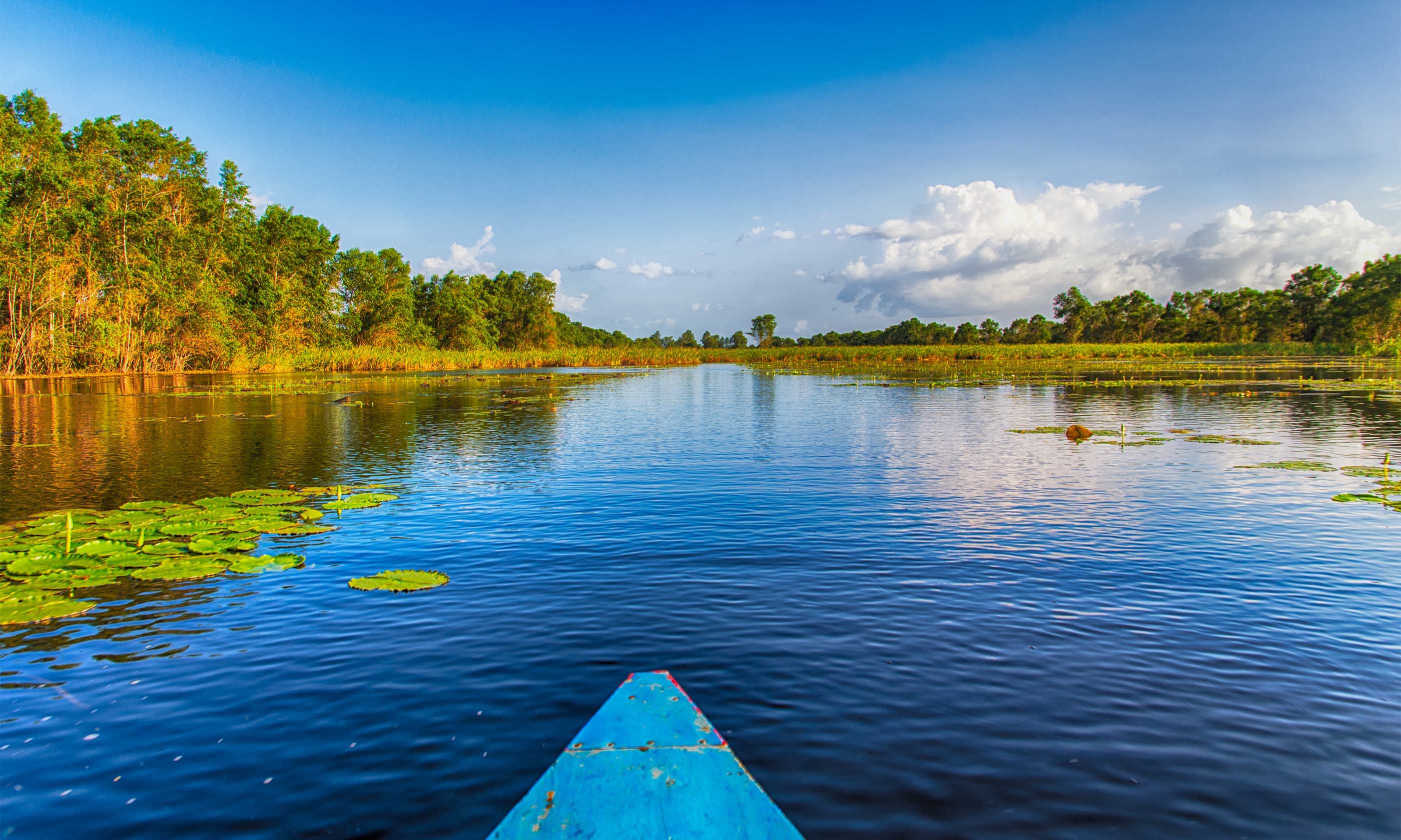 7 Things To See and Do in Suriname, South America | Wanderlust