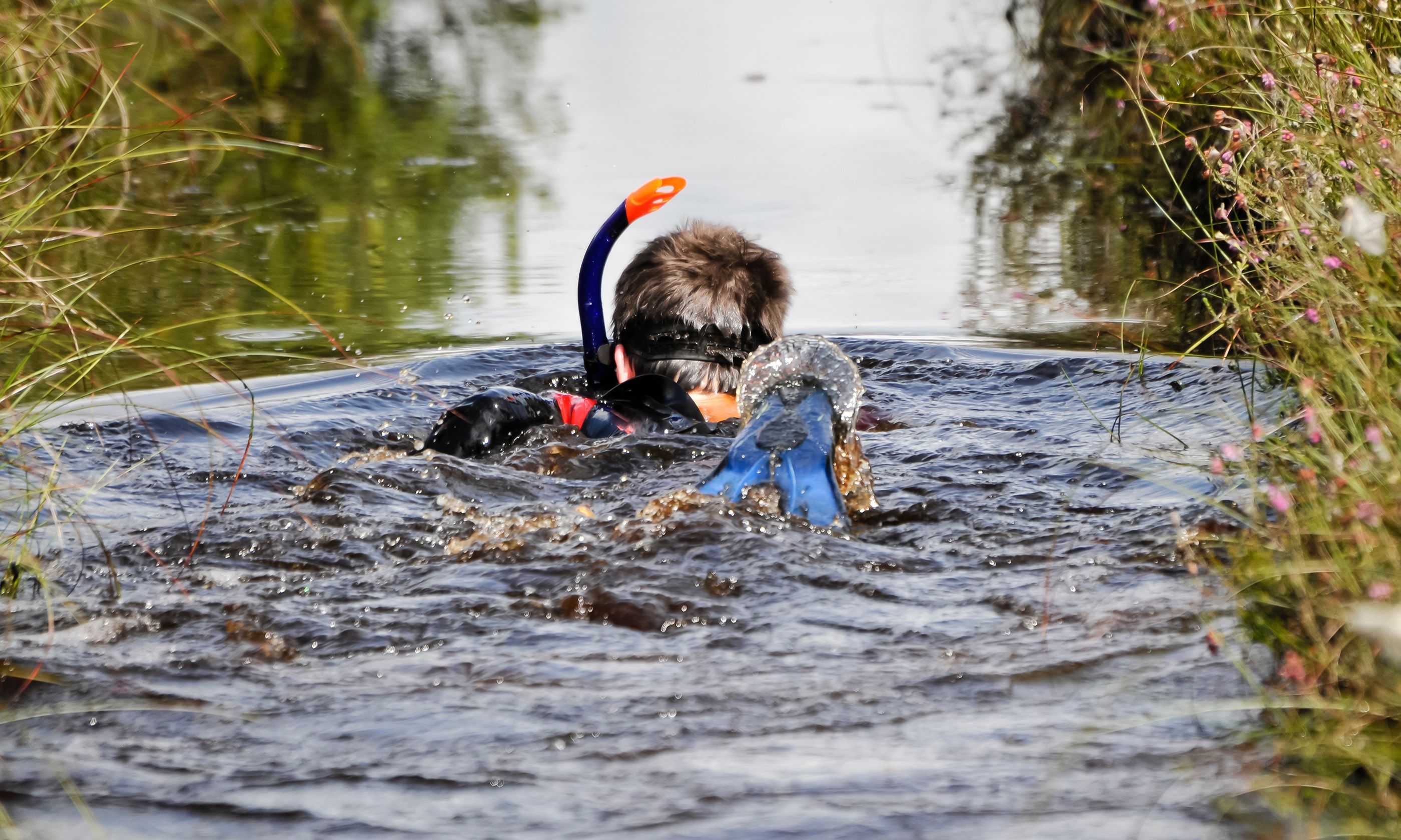 7 of the Most Beautiful Bogs From Around The World | Wanderlust