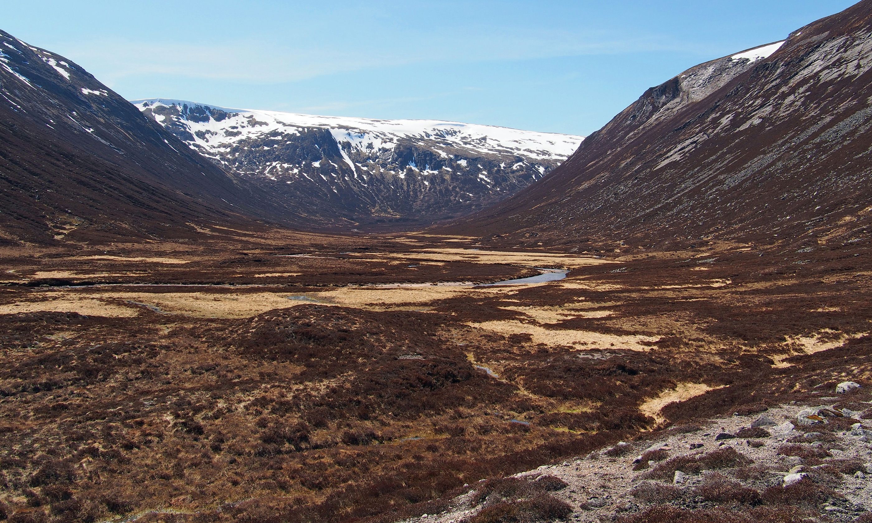 7 of the Most Beautiful Bogs From Around The World | Wanderlust