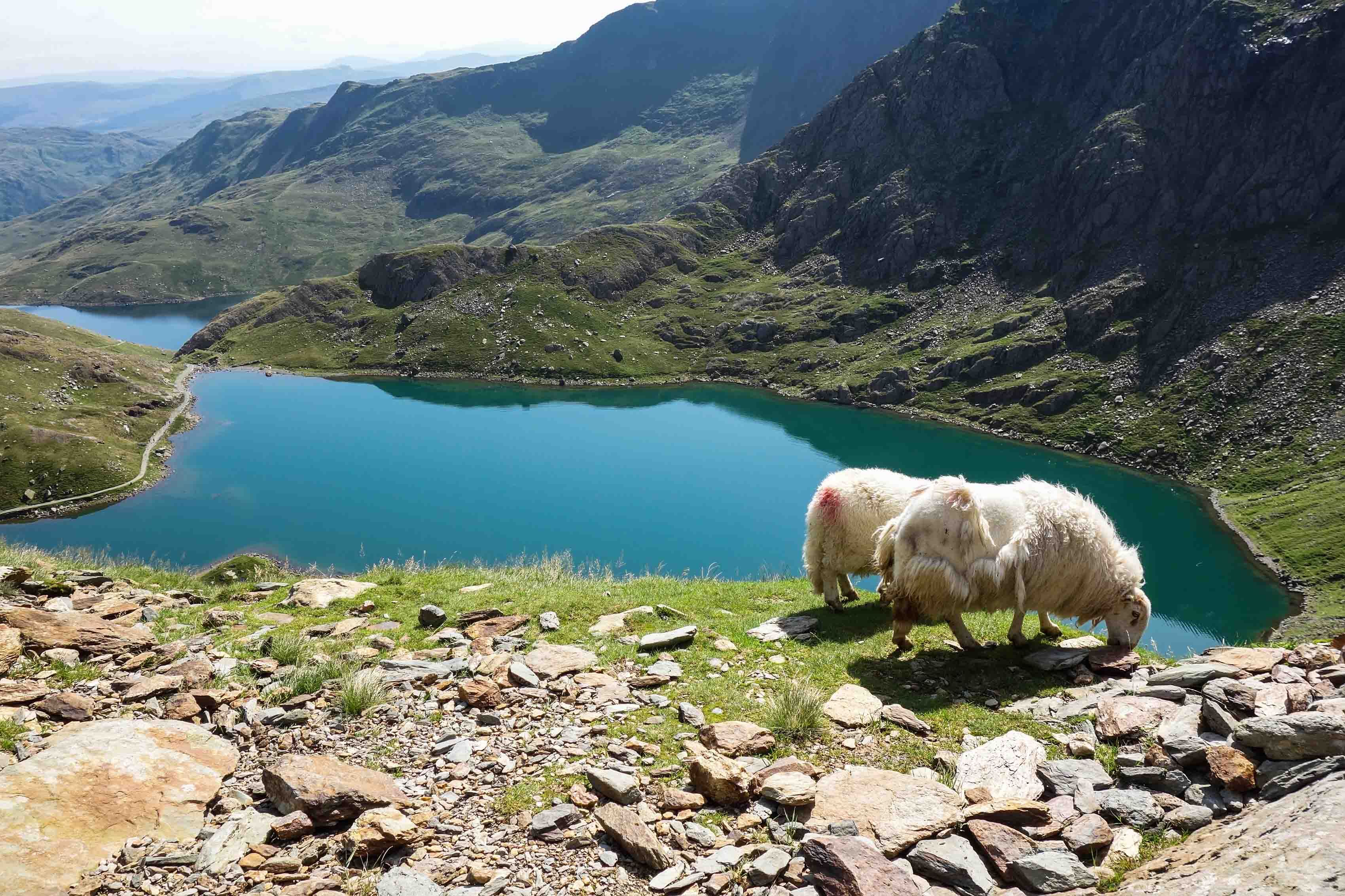 The 5 Best Walks in Wales for Nature Lovers | Wanderlust