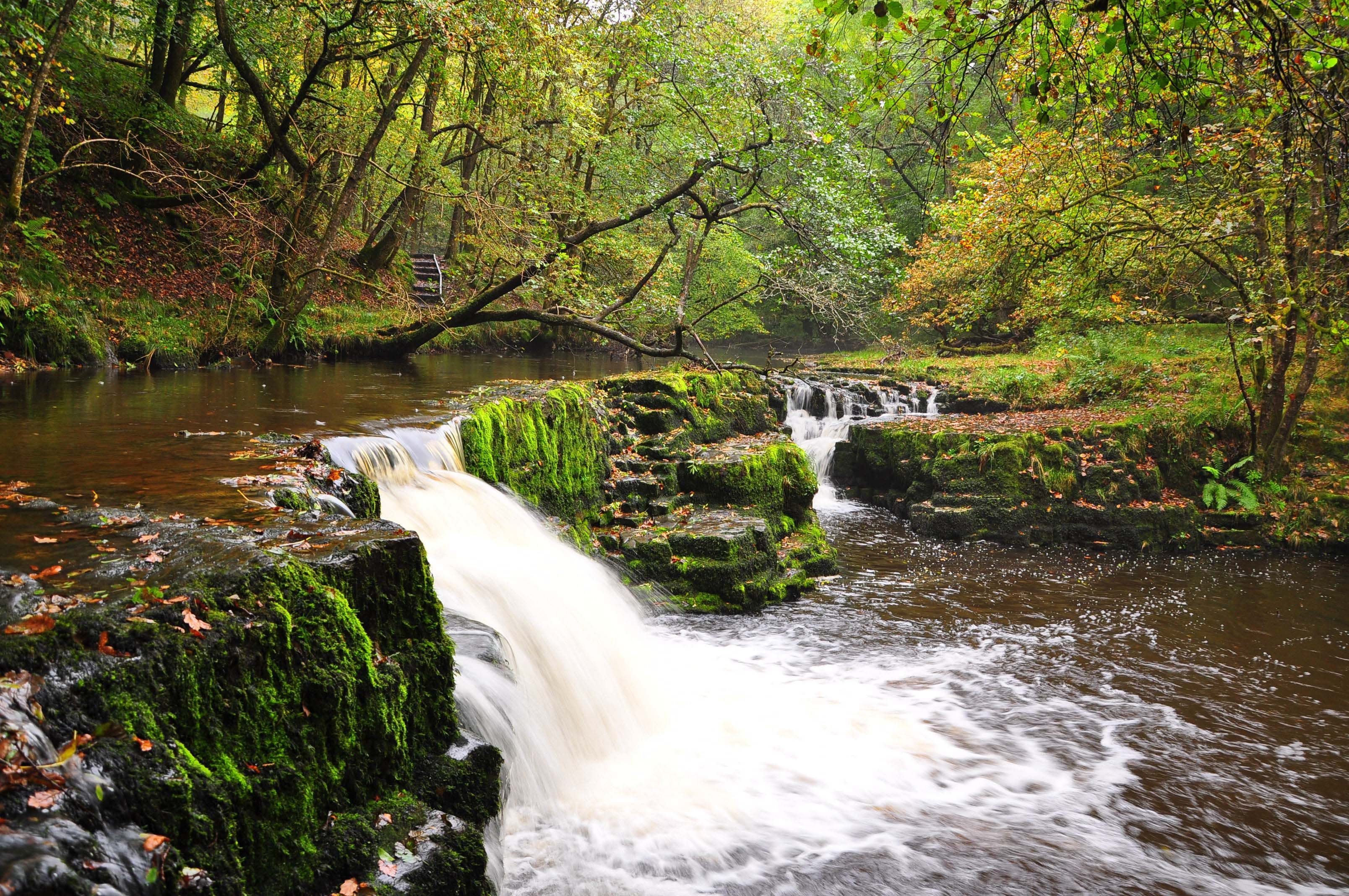 The 5 Best Walks in Wales for Nature Lovers | Wanderlust