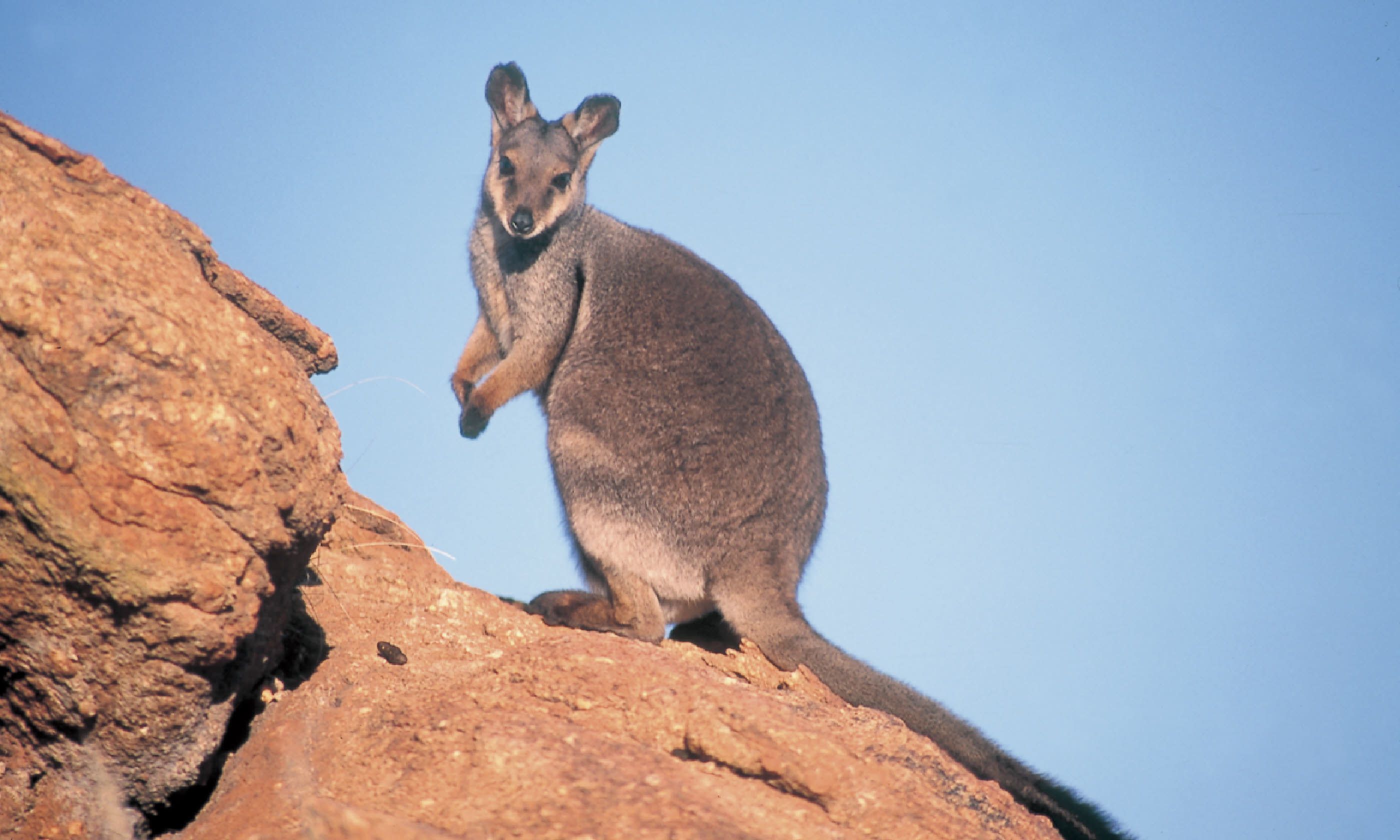 Amazing wild encounters in Australia's Northern Territory | Wanderlust